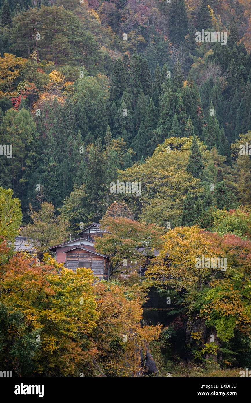 Houses among forest hi-res stock photography and images - Alamy