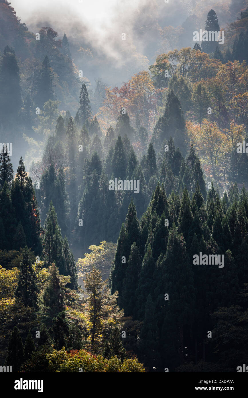 Mist rises from the mountains surrounding the village of Ogimachi, in ...
