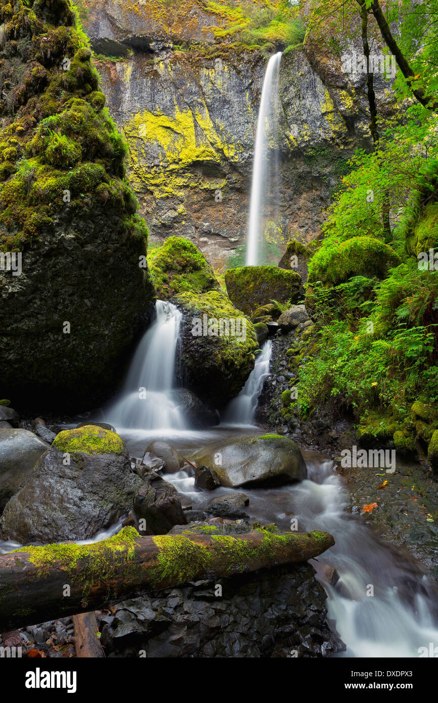 Elowah Falls in the Columbia River Gorge National Scenic Area. Fall ...
