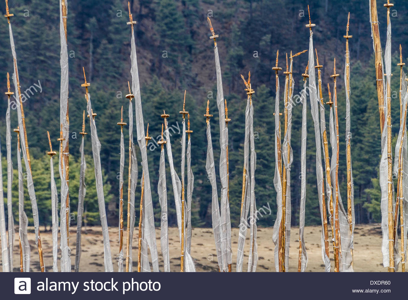 Prayer Flag Poles High Resolution Stock Photography and Images - Alamy