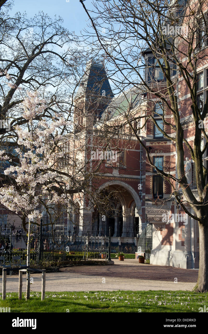 Trees in blossom in amsterdam hi-res stock photography and images - Alamy