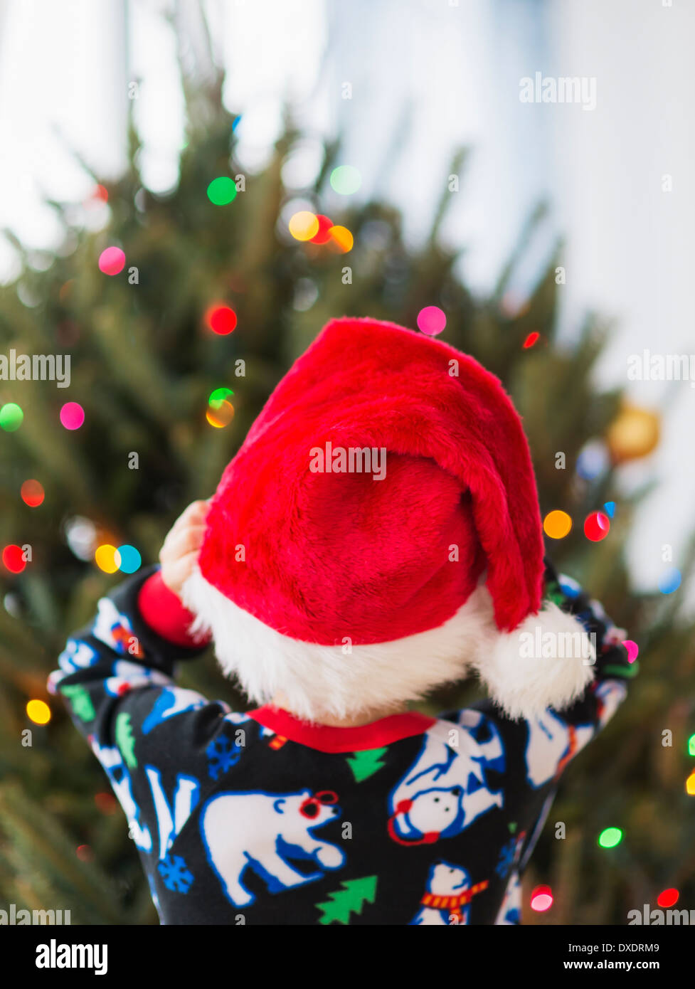 Rear view of kid (6-7) wearing santa hat Stock Photo - Alamy