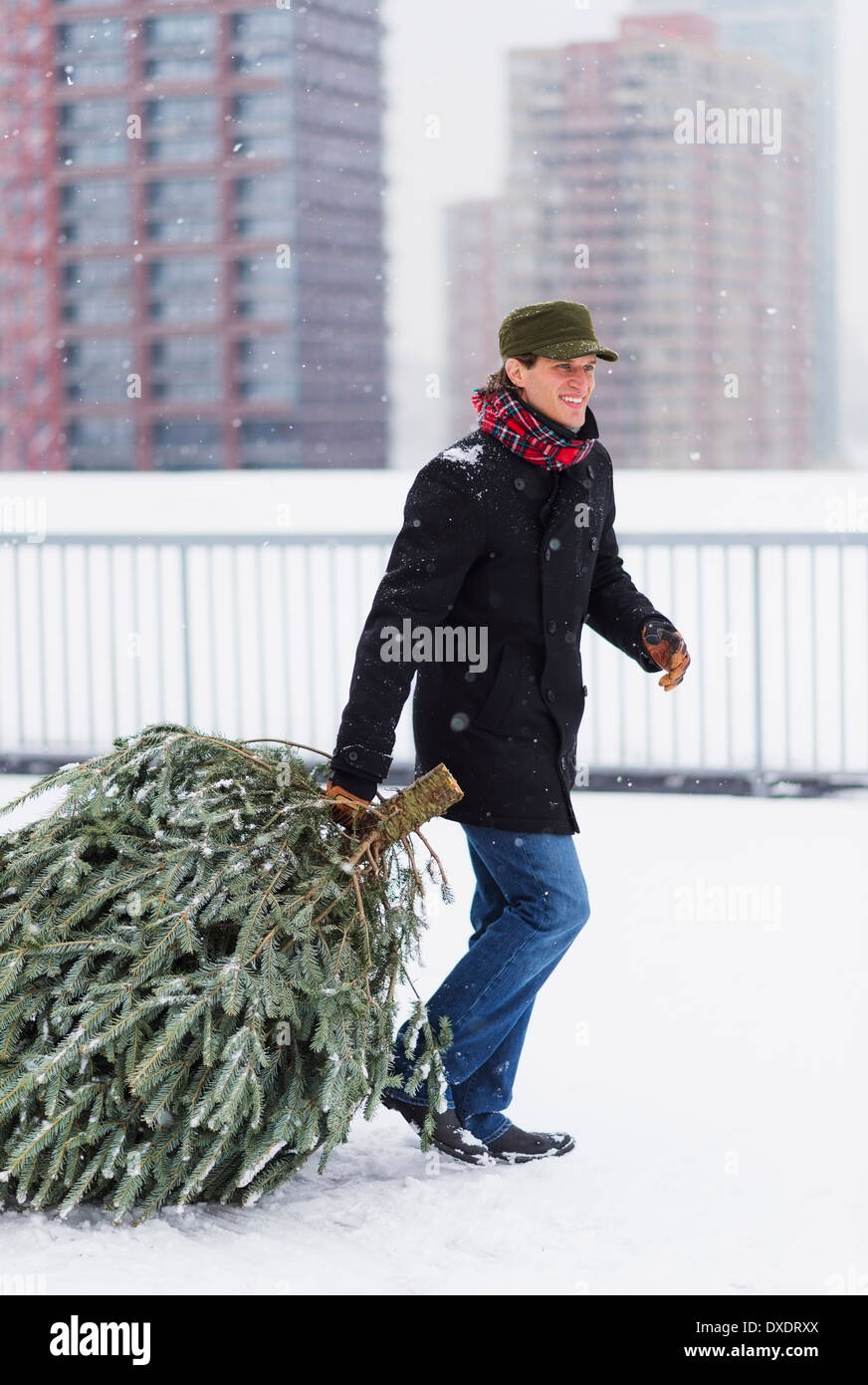 Man carrying christmas tree hi-res stock photography and images - Alamy