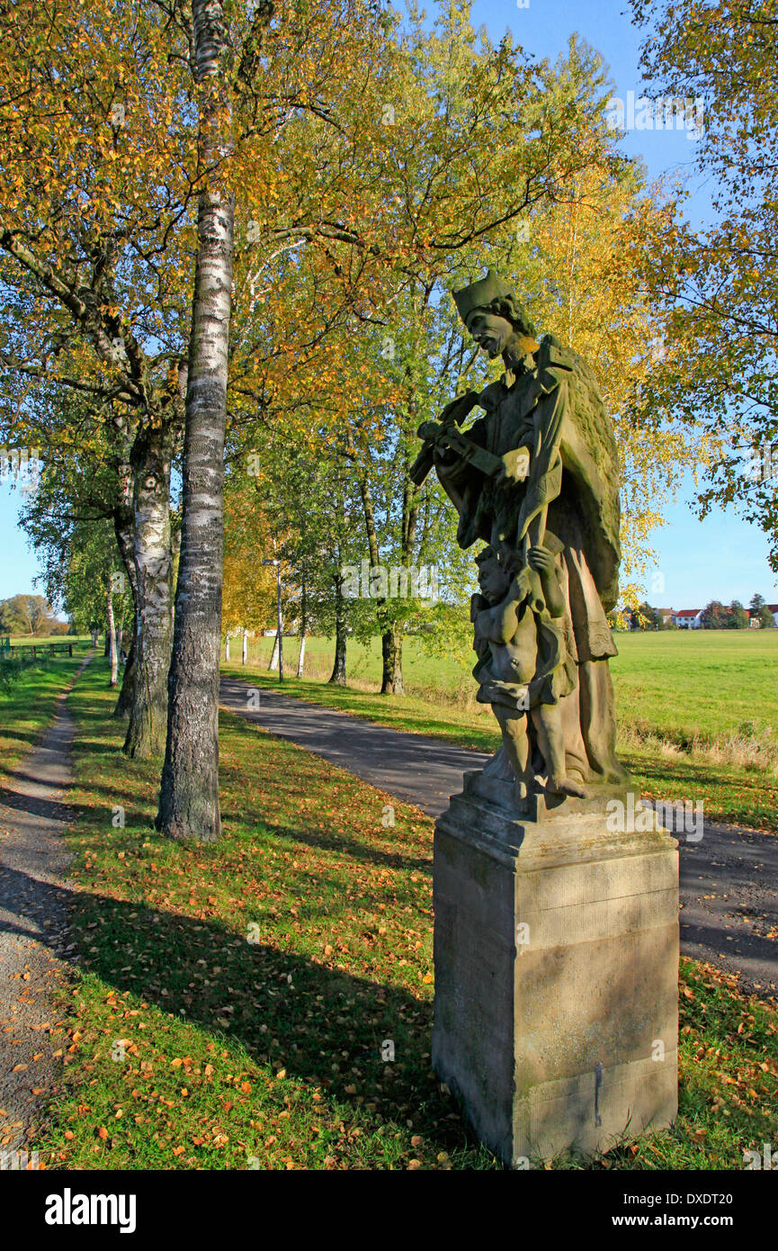 Tree lined walk hi-res stock photography and images - Alamy