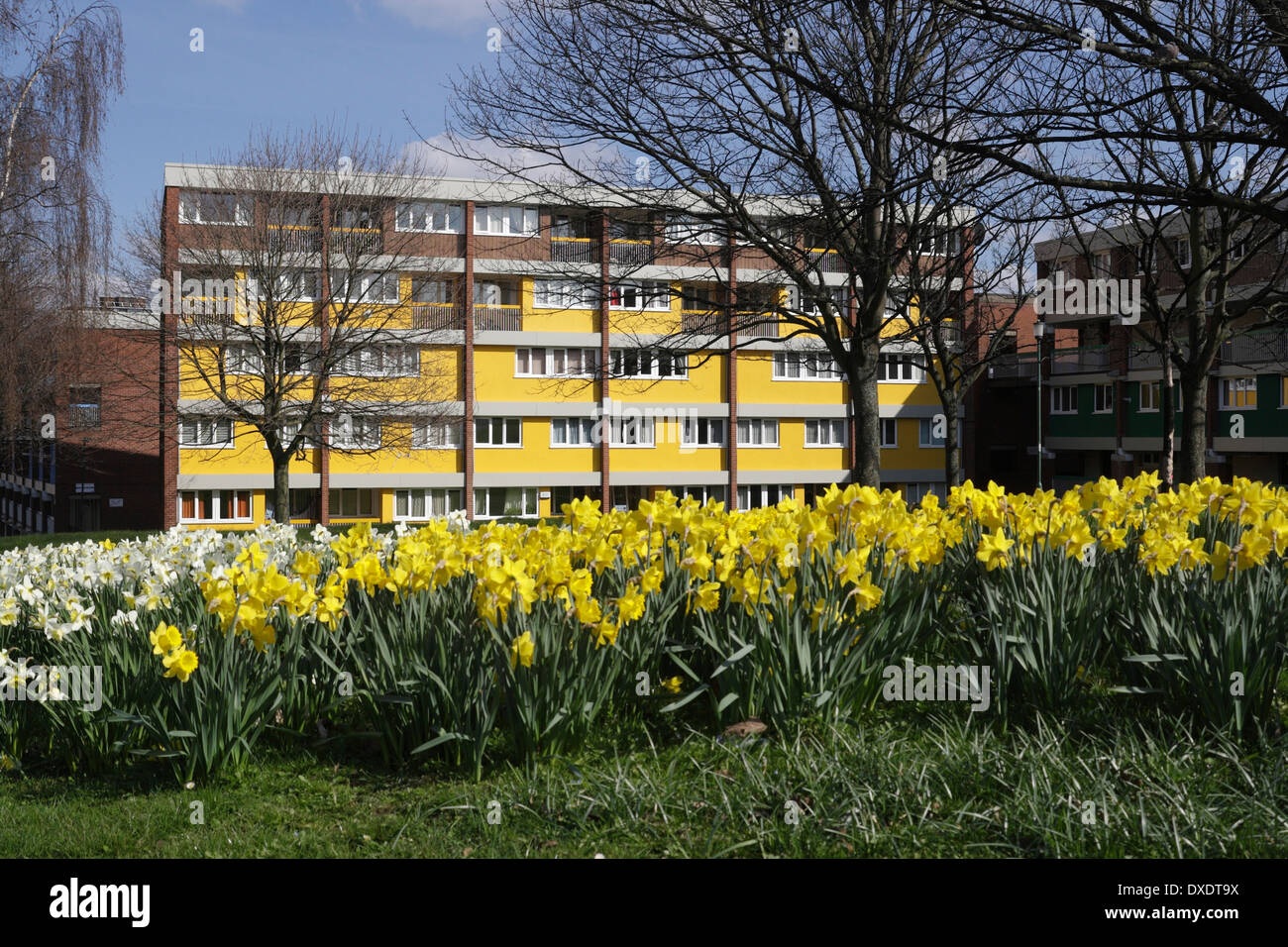 Sheffield spring hi-res stock photography and images - Alamy
