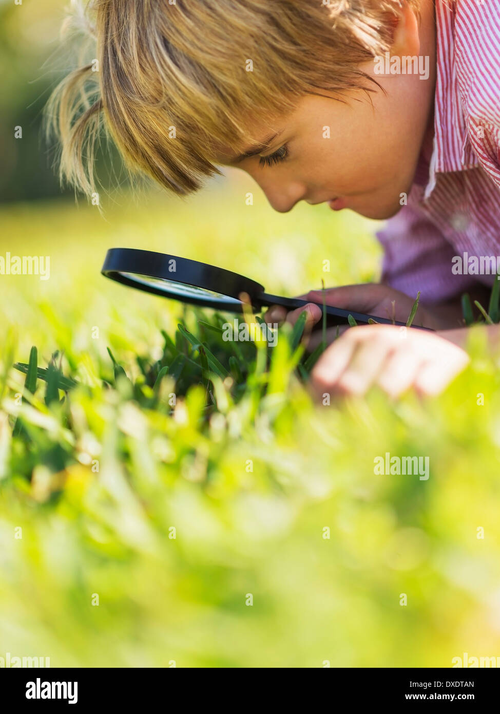 Boys and bugs hi-res stock photography and images - Alamy