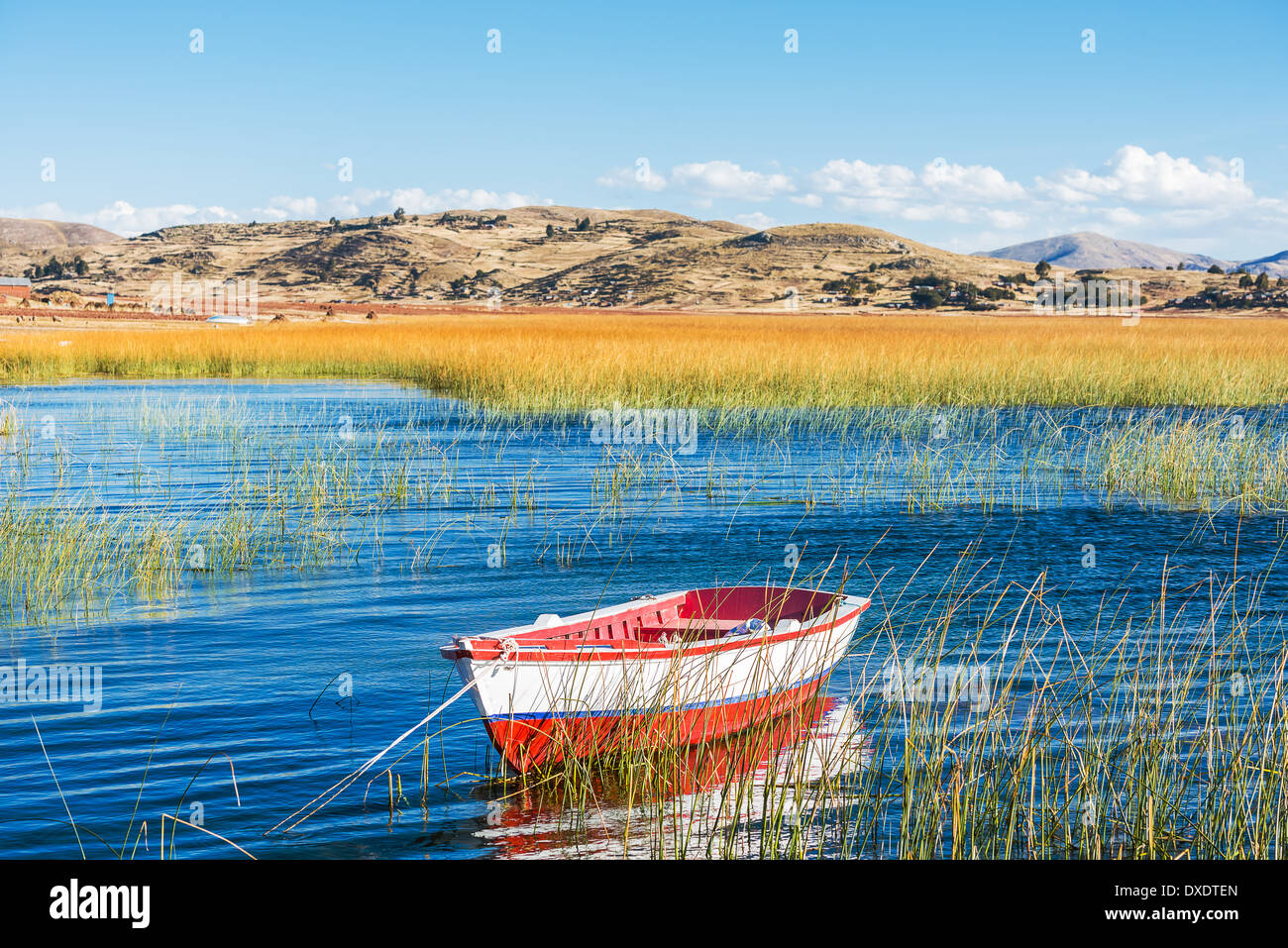 boat in Titicaca Lake in the peruvian Andes at Puno Peru Stock Photo ...