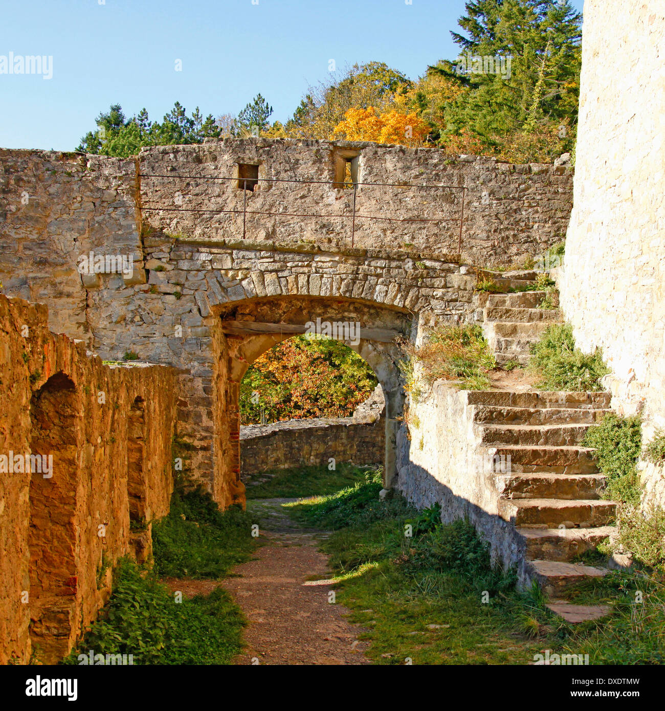 Castle Hornberg, Neckarzimmern Stock Photo - Alamy