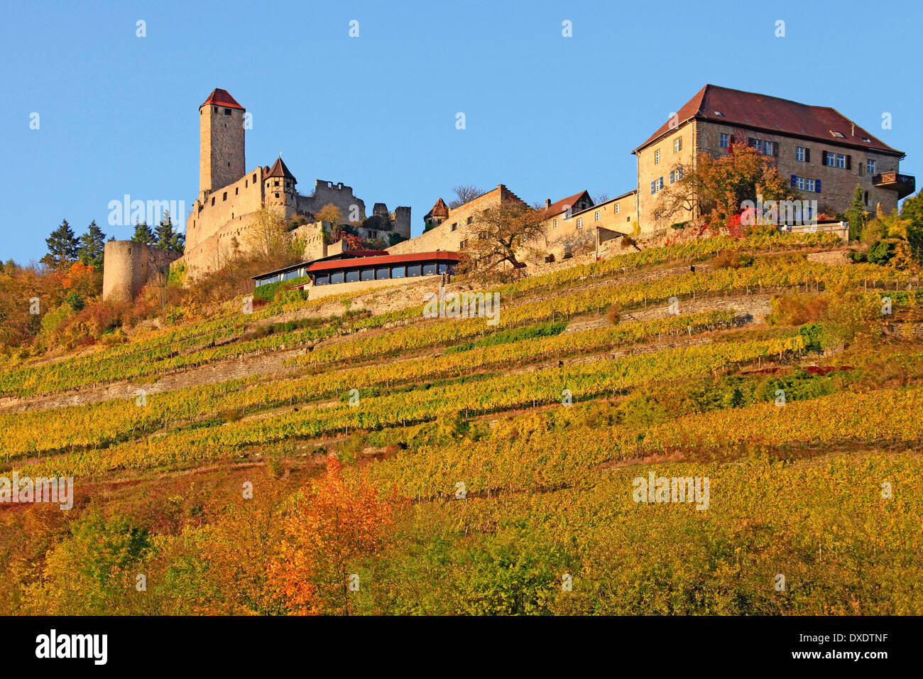 Castle Hornberg, Neckarzimmern Stock Photo - Alamy