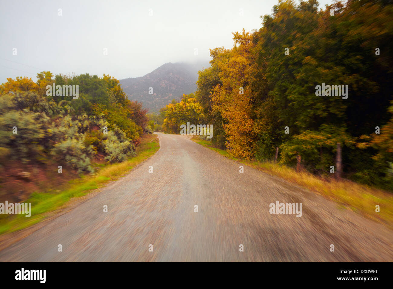 Empty, wet, country road, Colorado, USA Stock Photo - Alamy