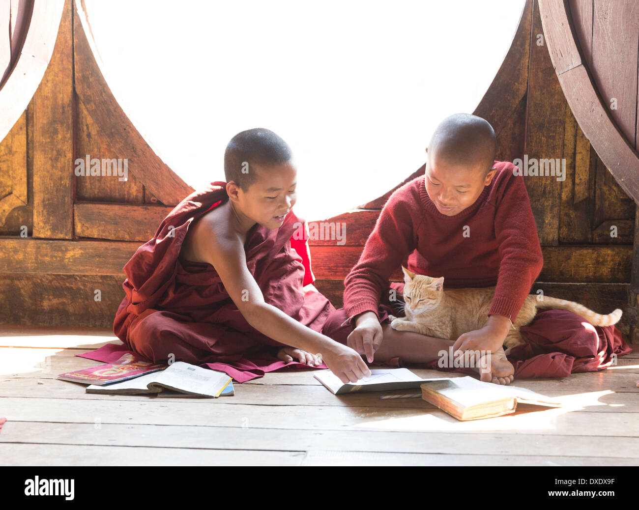 Novice monks working hi-res stock photography and images - Alamy