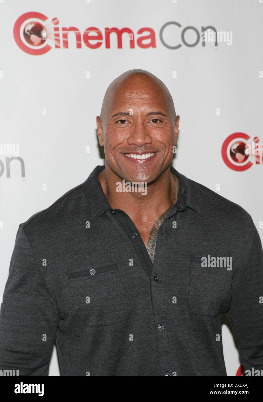 Las Vegas, NV, USA. 24th Mar, 2014. Dwayne Johnson at arrivals for ...