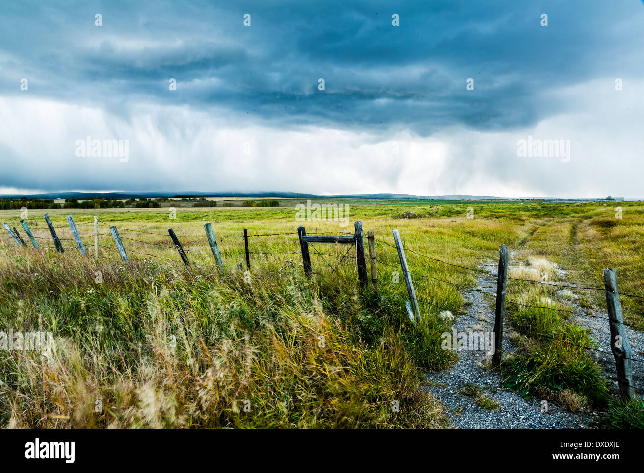 Springbank alberta hi-res stock photography and images - Alamy