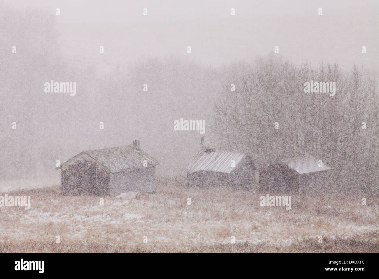 Landscape alberta foothills hi-res stock photography and images - Alamy
