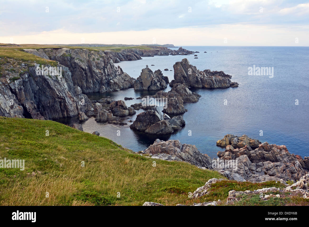 Newfoundland sea hi-res stock photography and images - Alamy