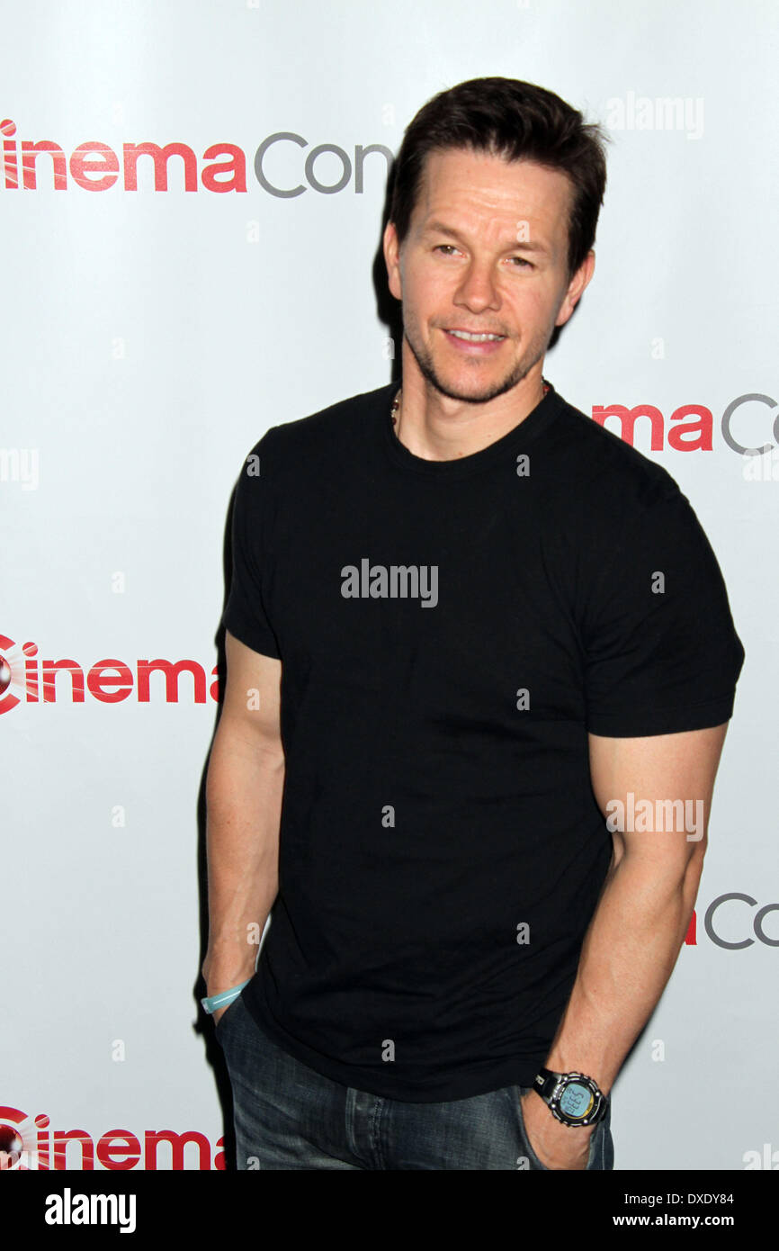 Mark Wahlberg 2014 Should Mark Wahlberg Be Pardoned For 1988 Assault?