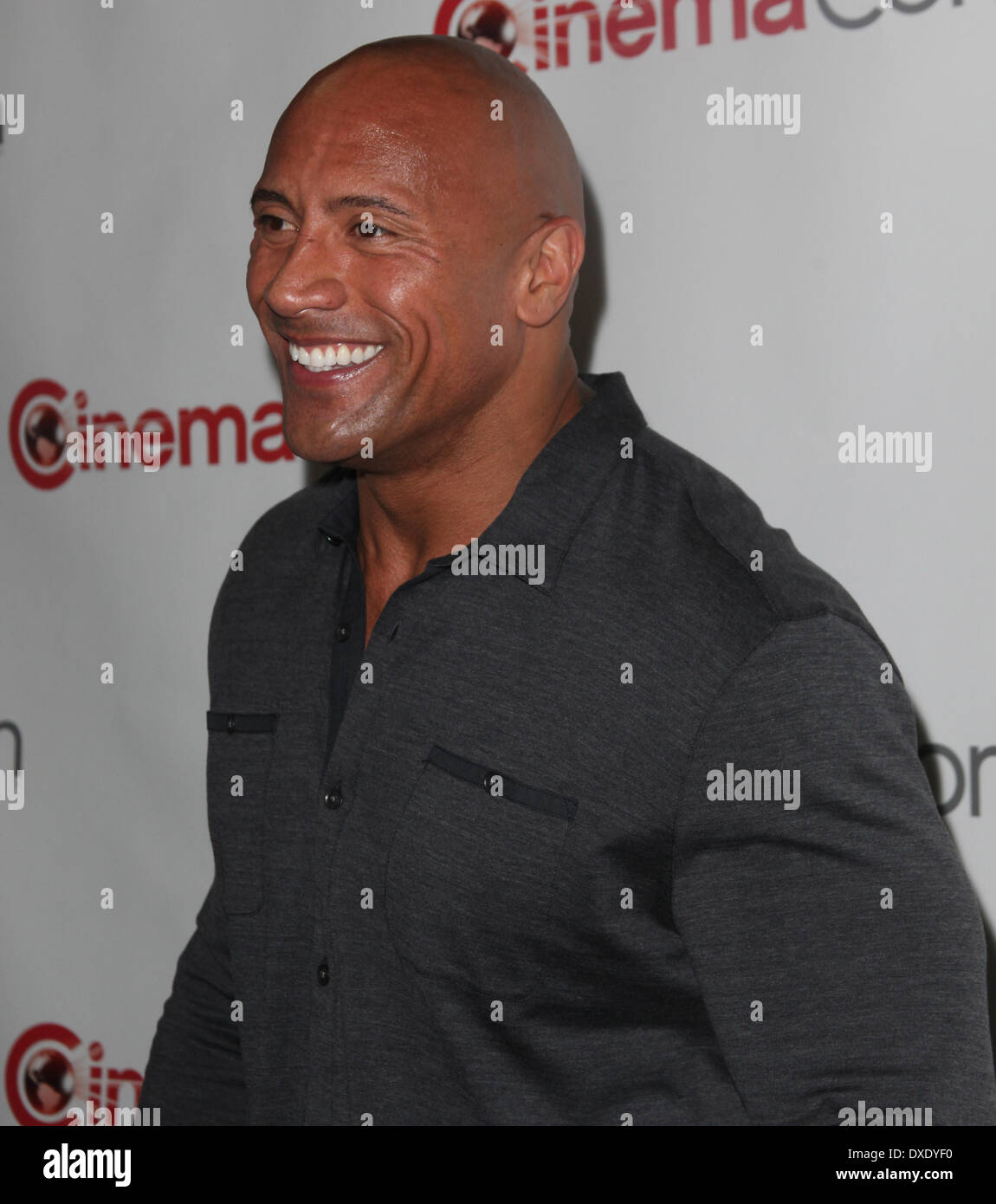 Las Vegas, Nevada, USA. 24th Mar, 2014. Actor Dwayne Johnson attends ...