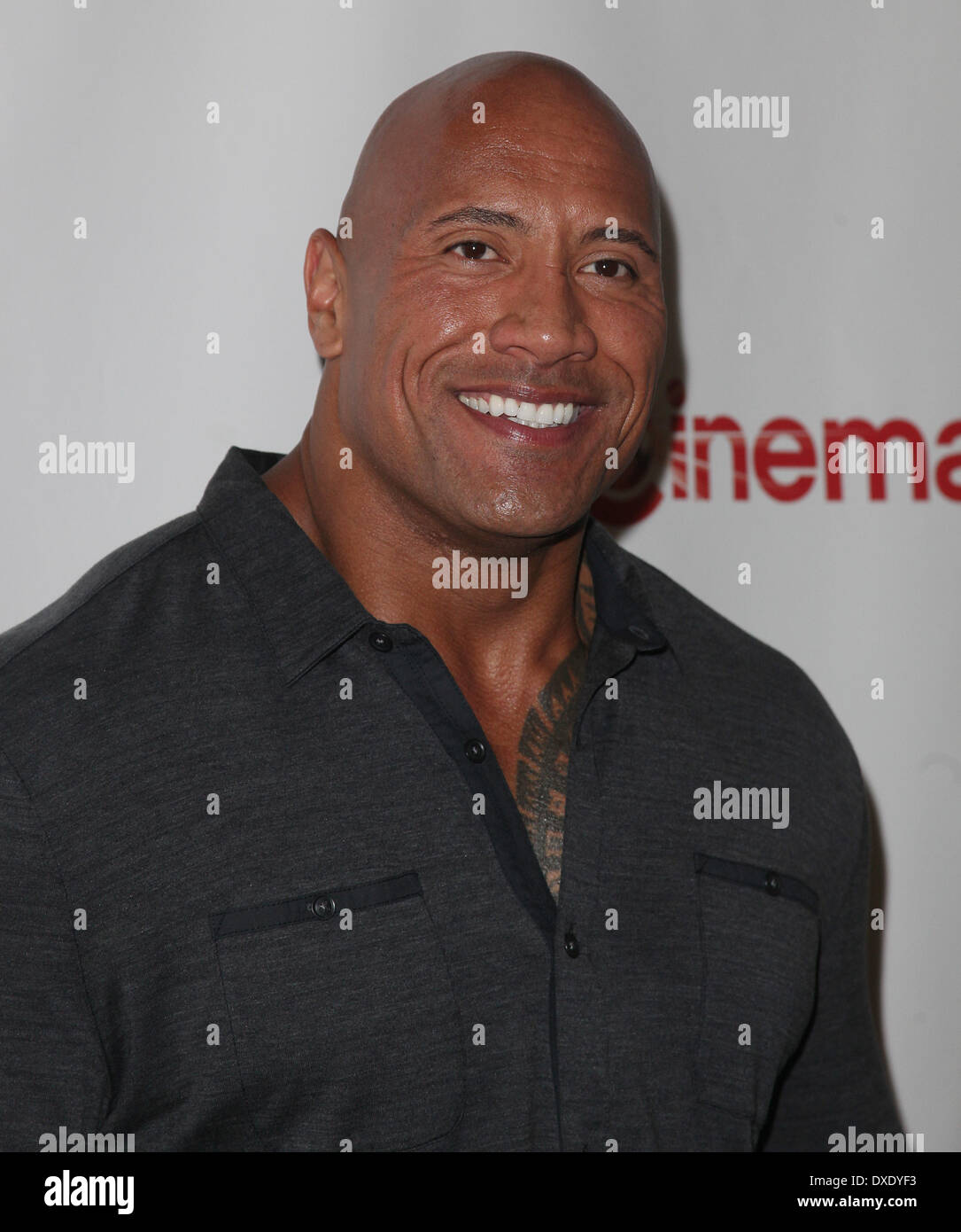 Las Vegas, Nevada, USA. 24th Mar, 2014. Actor Dwayne Johnson attends ...