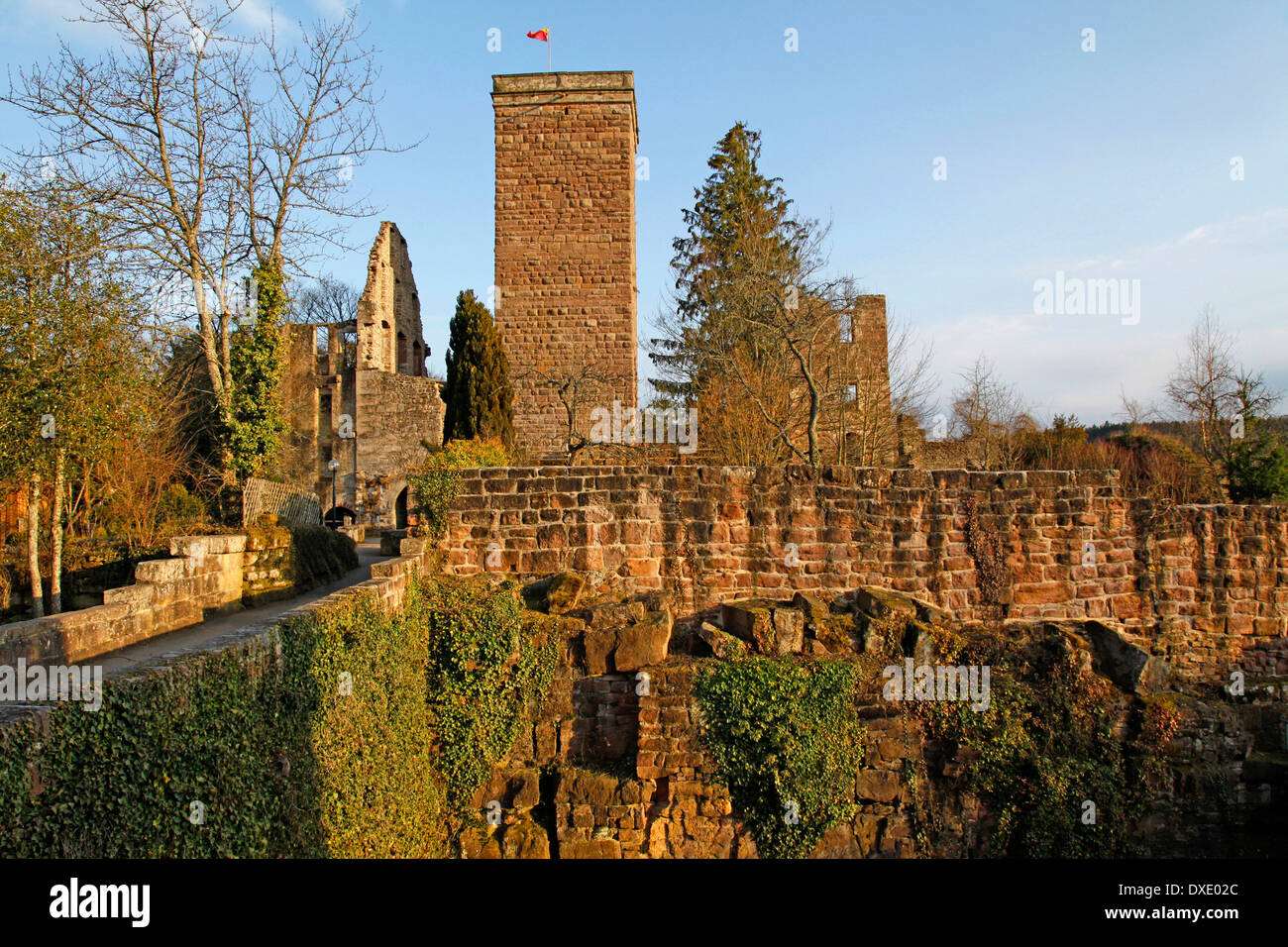 Castle ruins, Zavelstein, Bad Teinach-Zavelstein, district Calw, Black ...