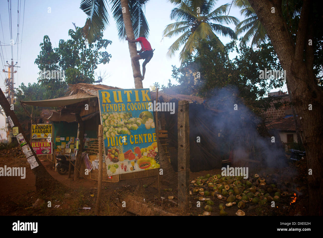 Daily scenes in Goa, India Stock Photo - Alamy