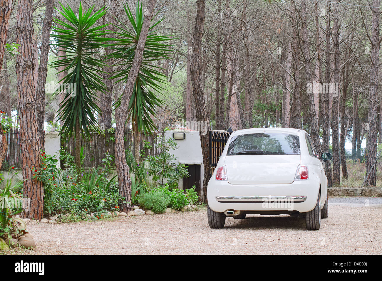 Parked white car in backyard Stock Photo - Alamy