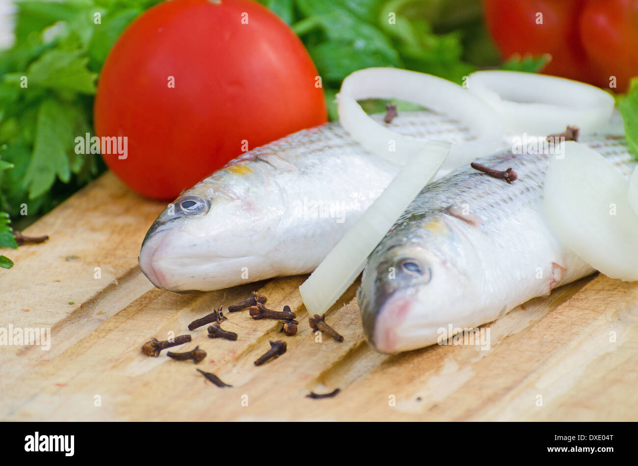 Mugil Fish High Resolution Stock Photography and Images - Alamy
