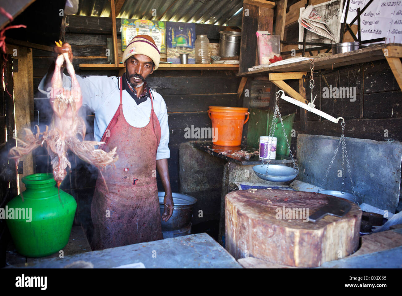 Daily scenes in Goa, India Stock Photo - Alamy