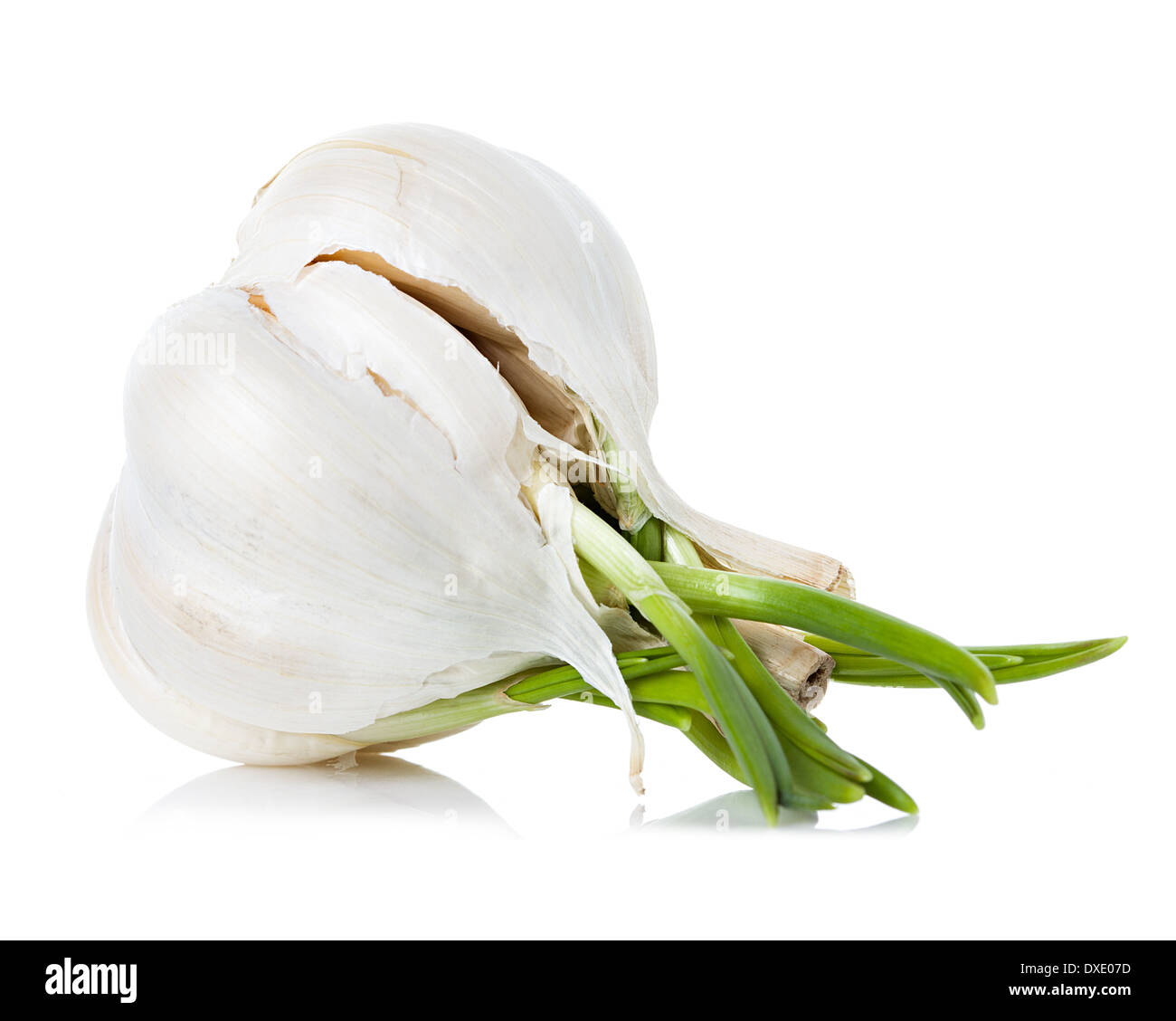 garlic close up on white background Stock Photo - Alamy