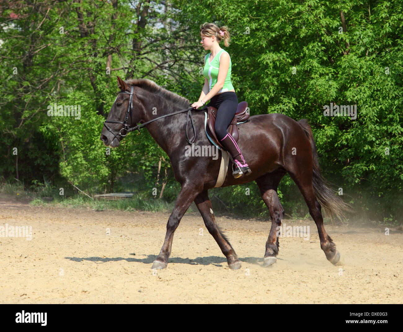 Spring riding horse hi-res stock photography and images - Alamy