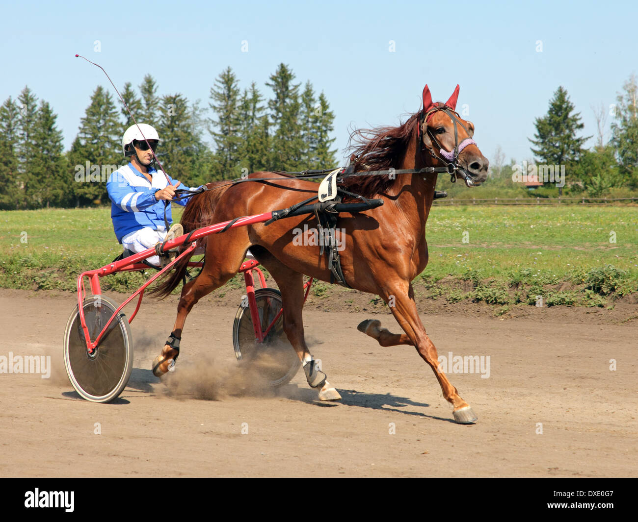 Horse race track finish hi-res stock photography and images - Alamy