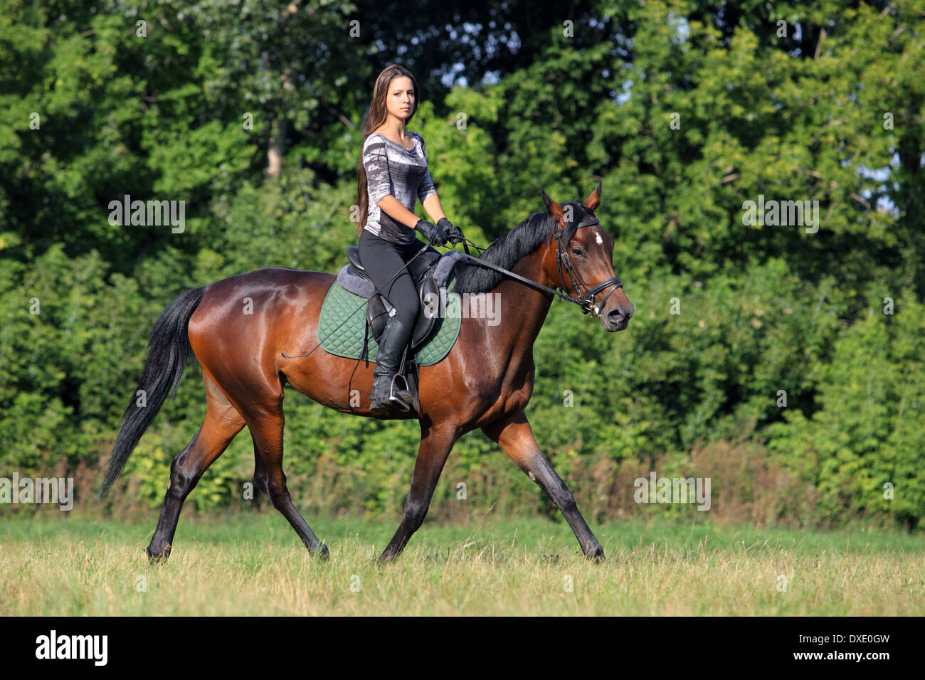 Elegant attractive woman riding horse hi-res stock photography and ...