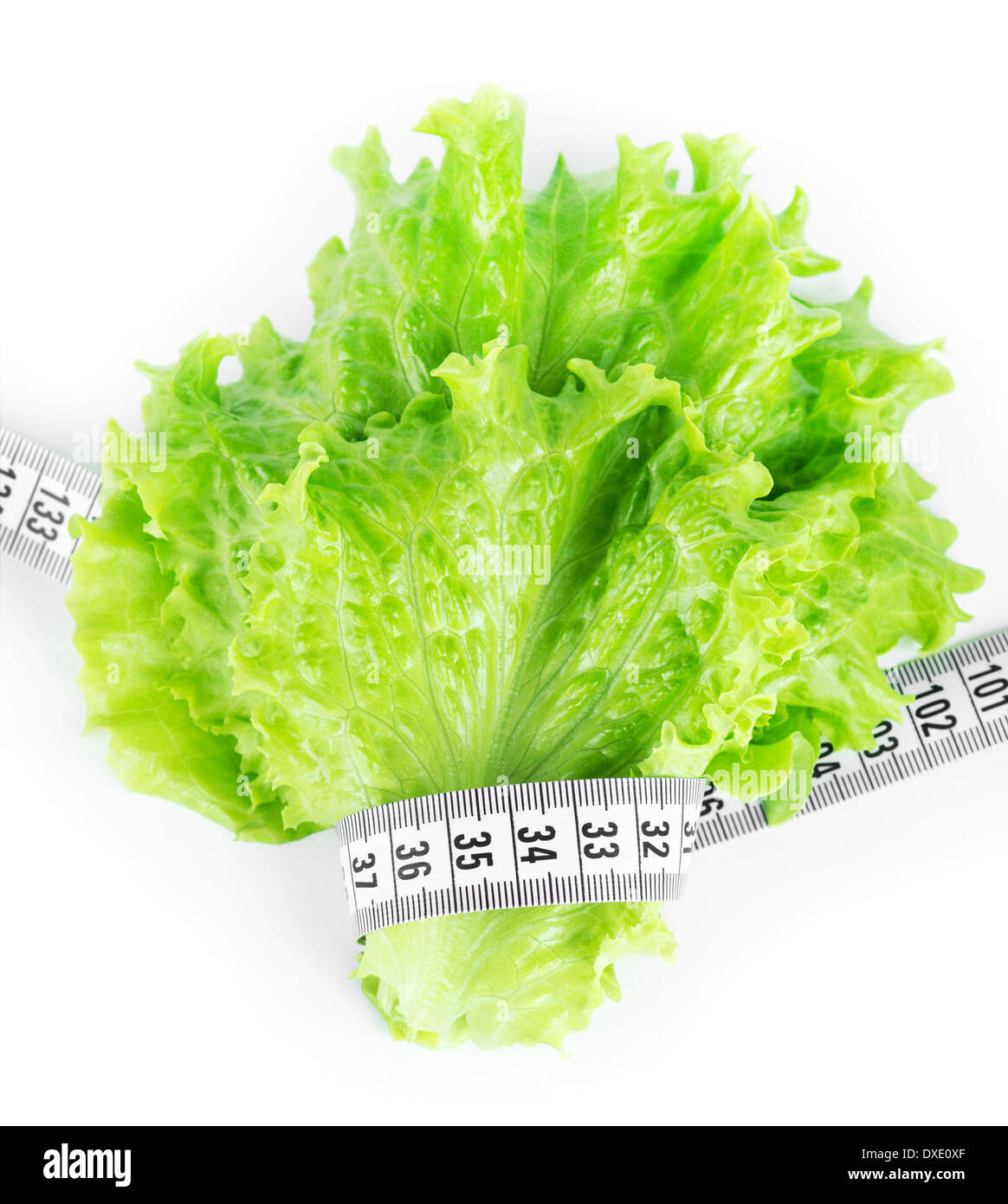Concept fresh green lettuce hi-res stock photography and images - Alamy