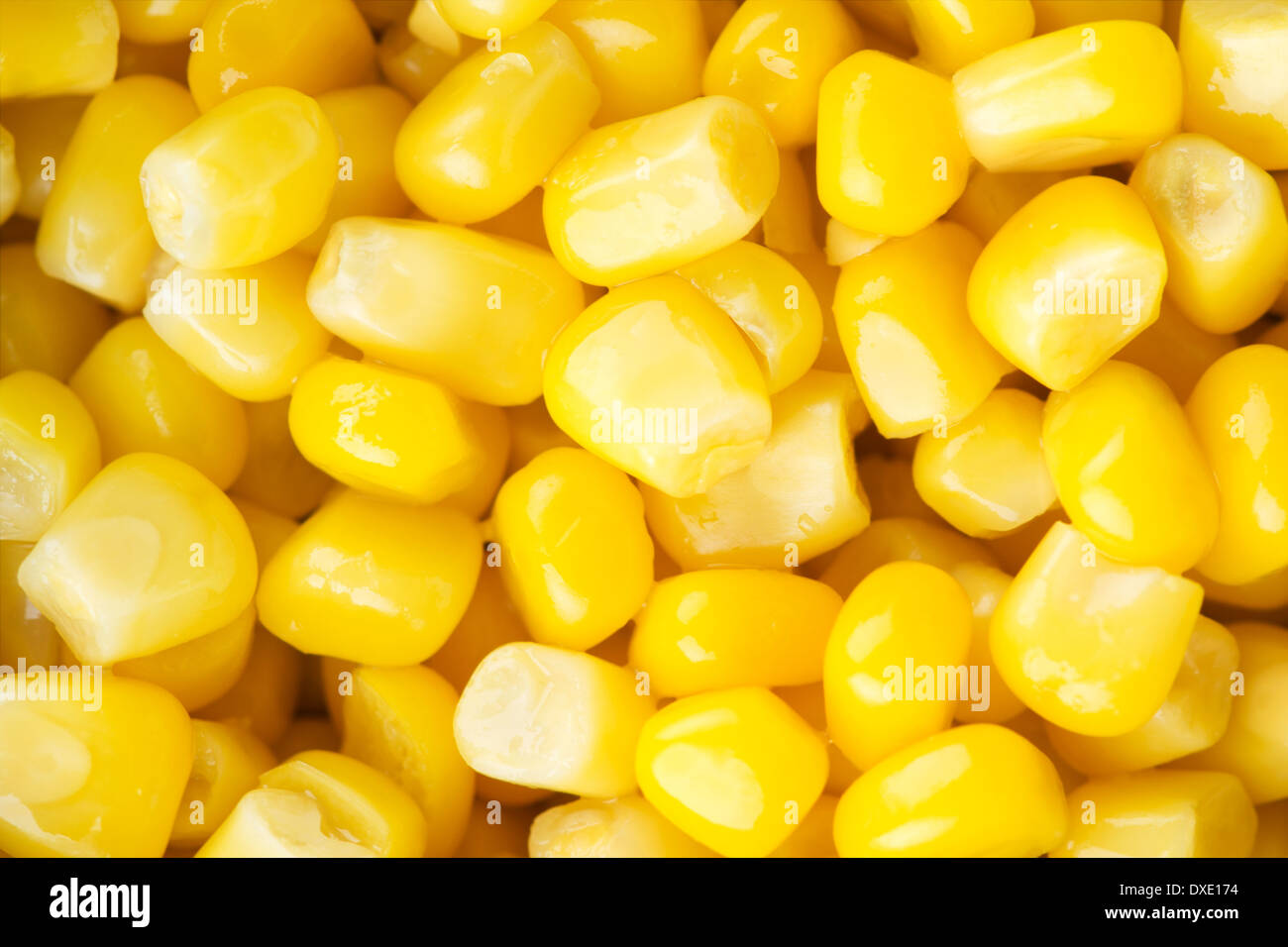 Sweet kernel corn background Stock Photo - Alamy