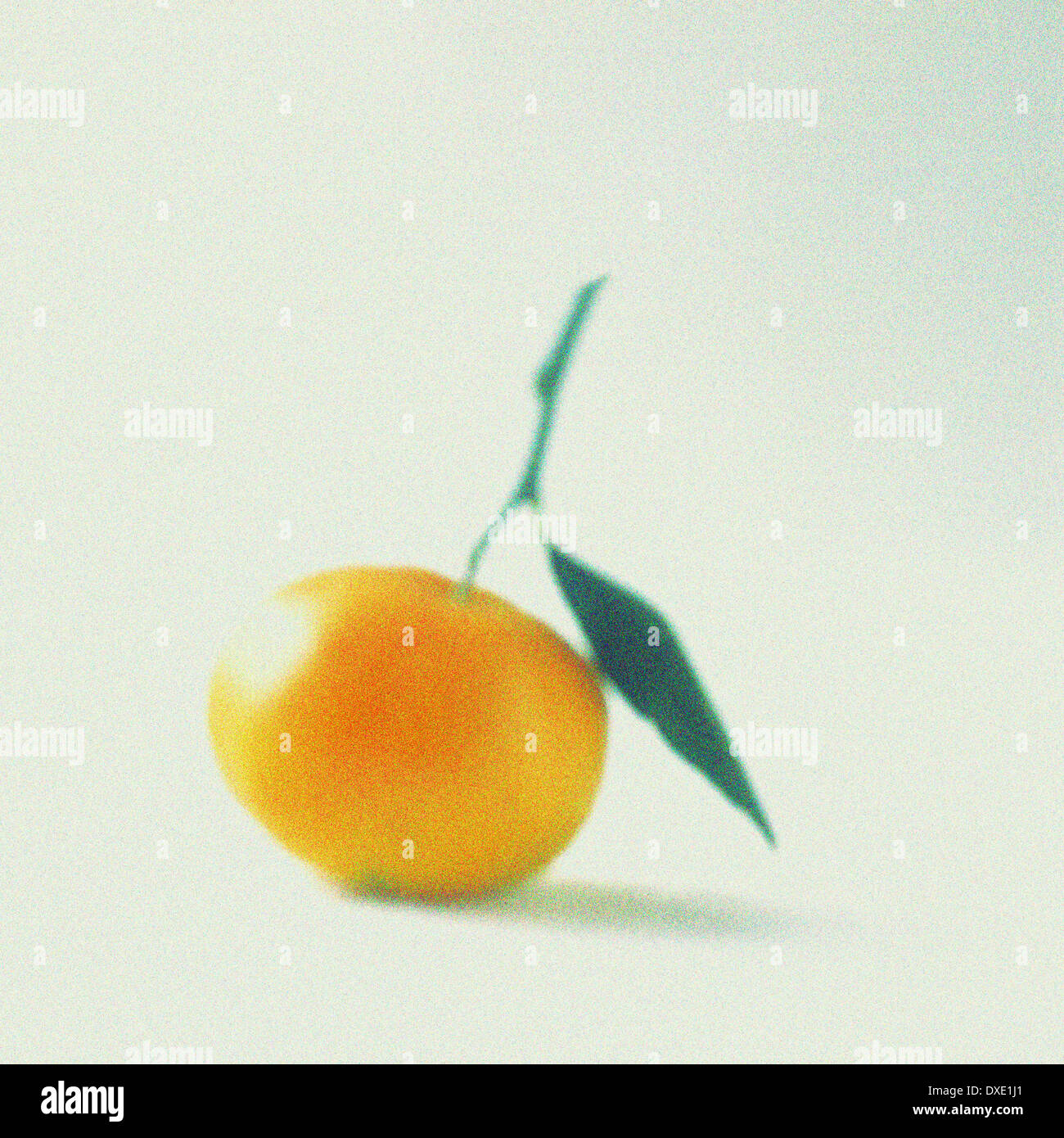 Soft focus clementine Stock Photo - Alamy