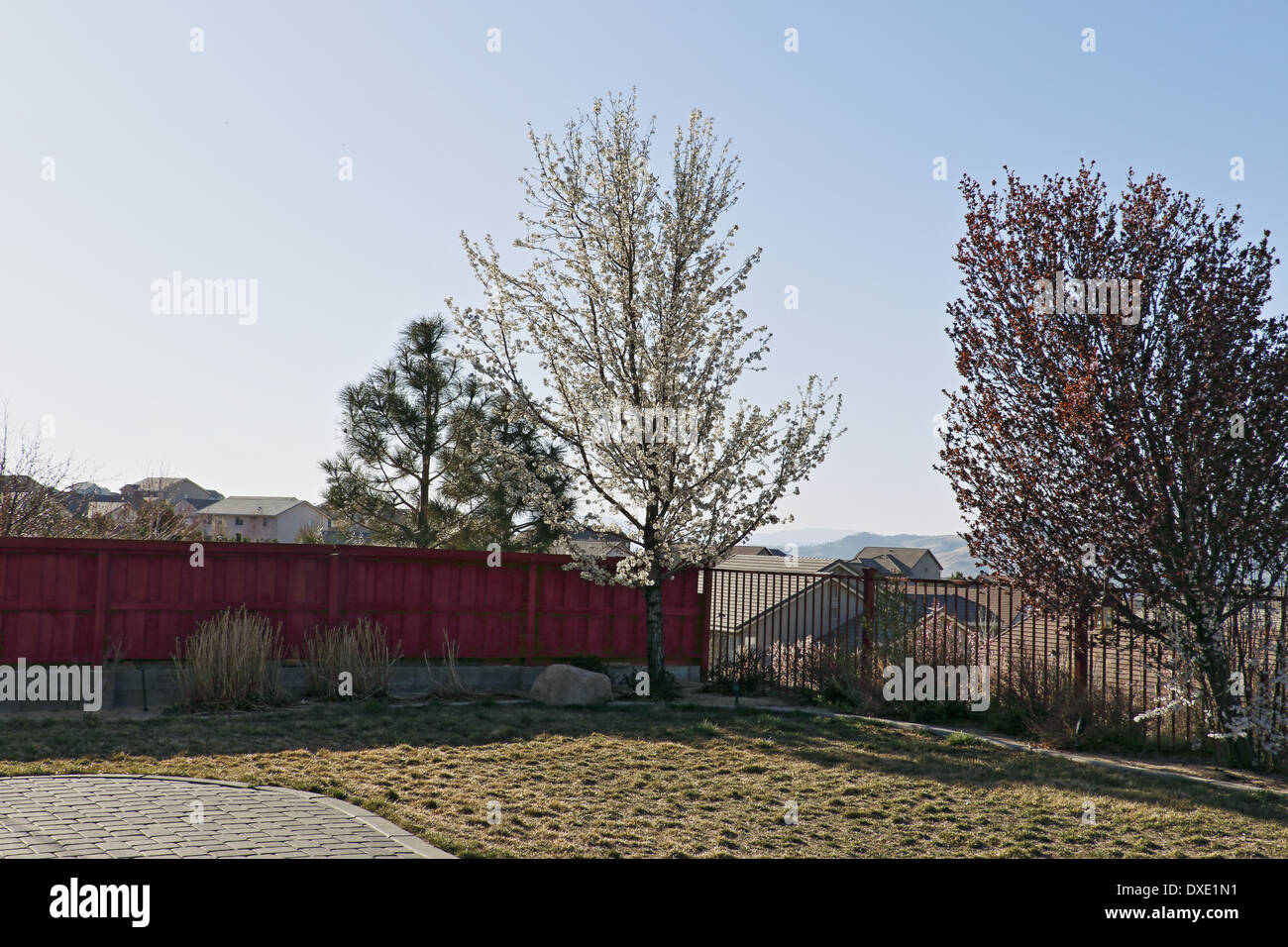 Trees wooden fence hi-res stock photography and images - Alamy