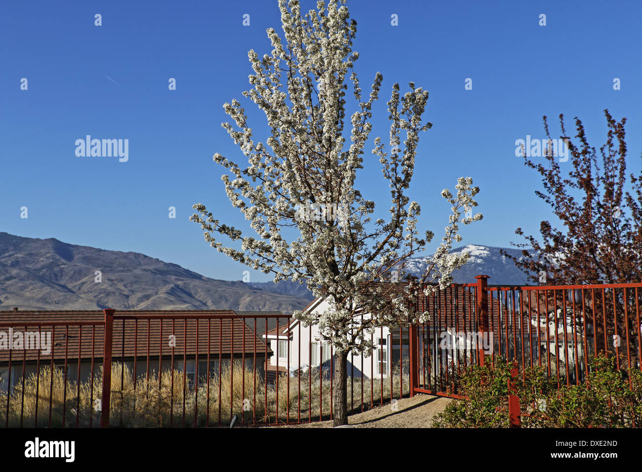 The red fence hi-res stock photography and images - Alamy