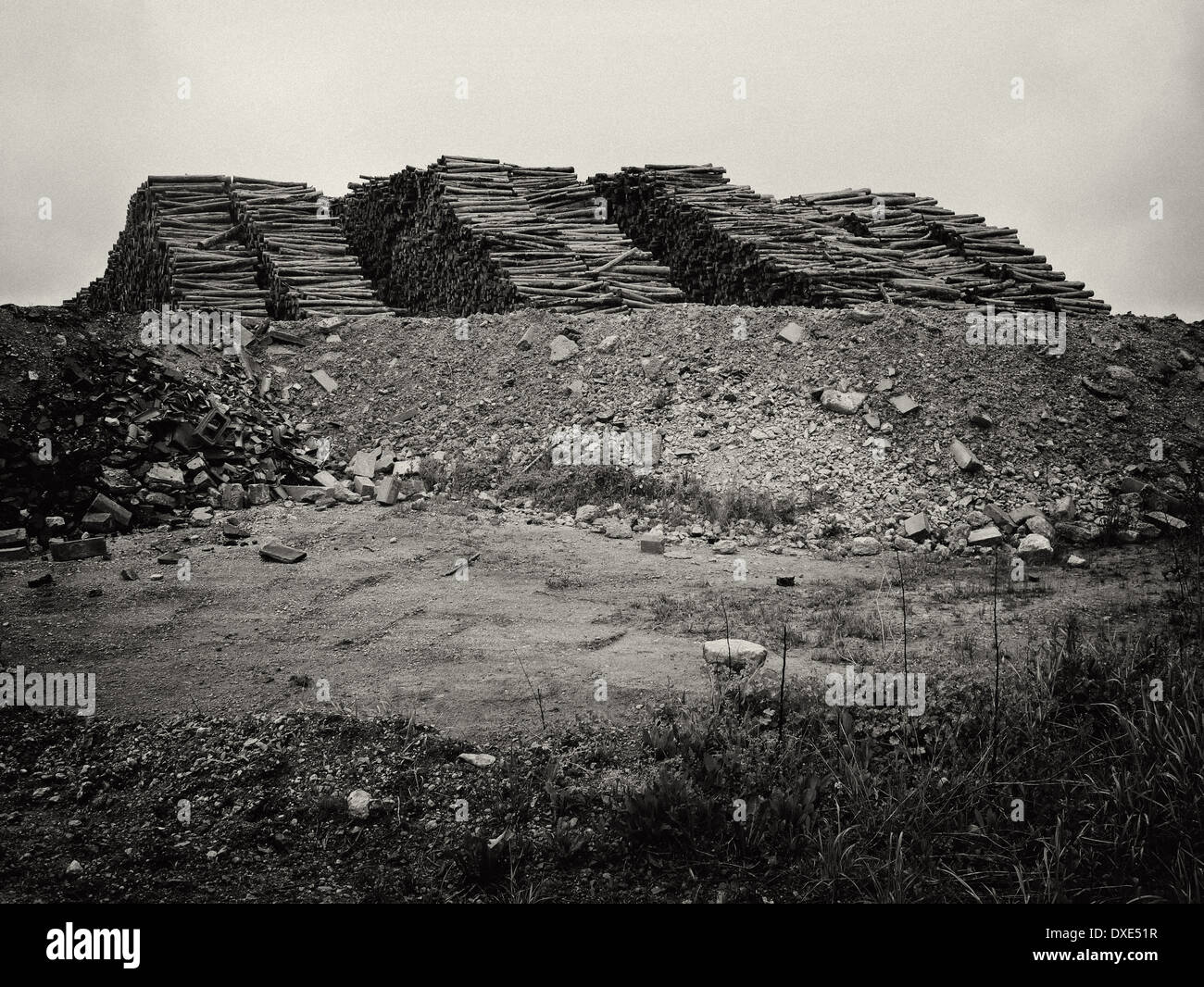 Stacks of timber in French logging yard Stock Photo - Alamy