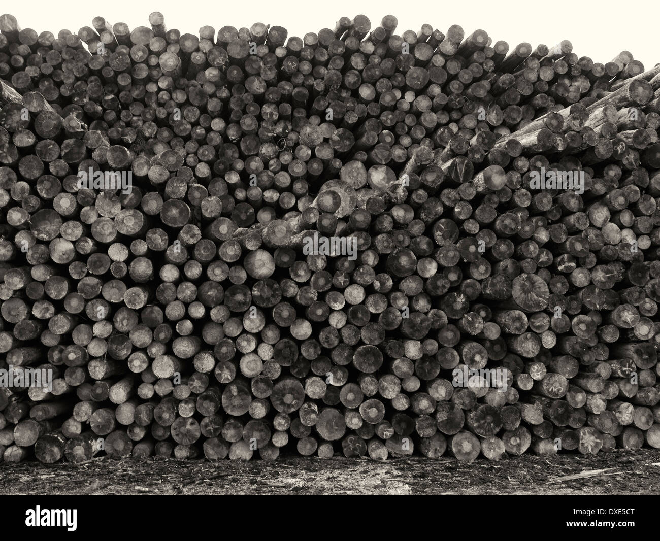 French logging hi-res stock photography and images - Alamy