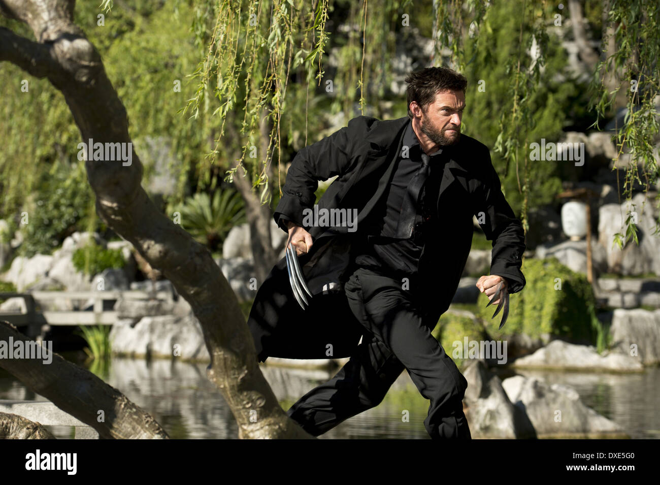 Wolverine claw hi-res stock photography and images - Alamy