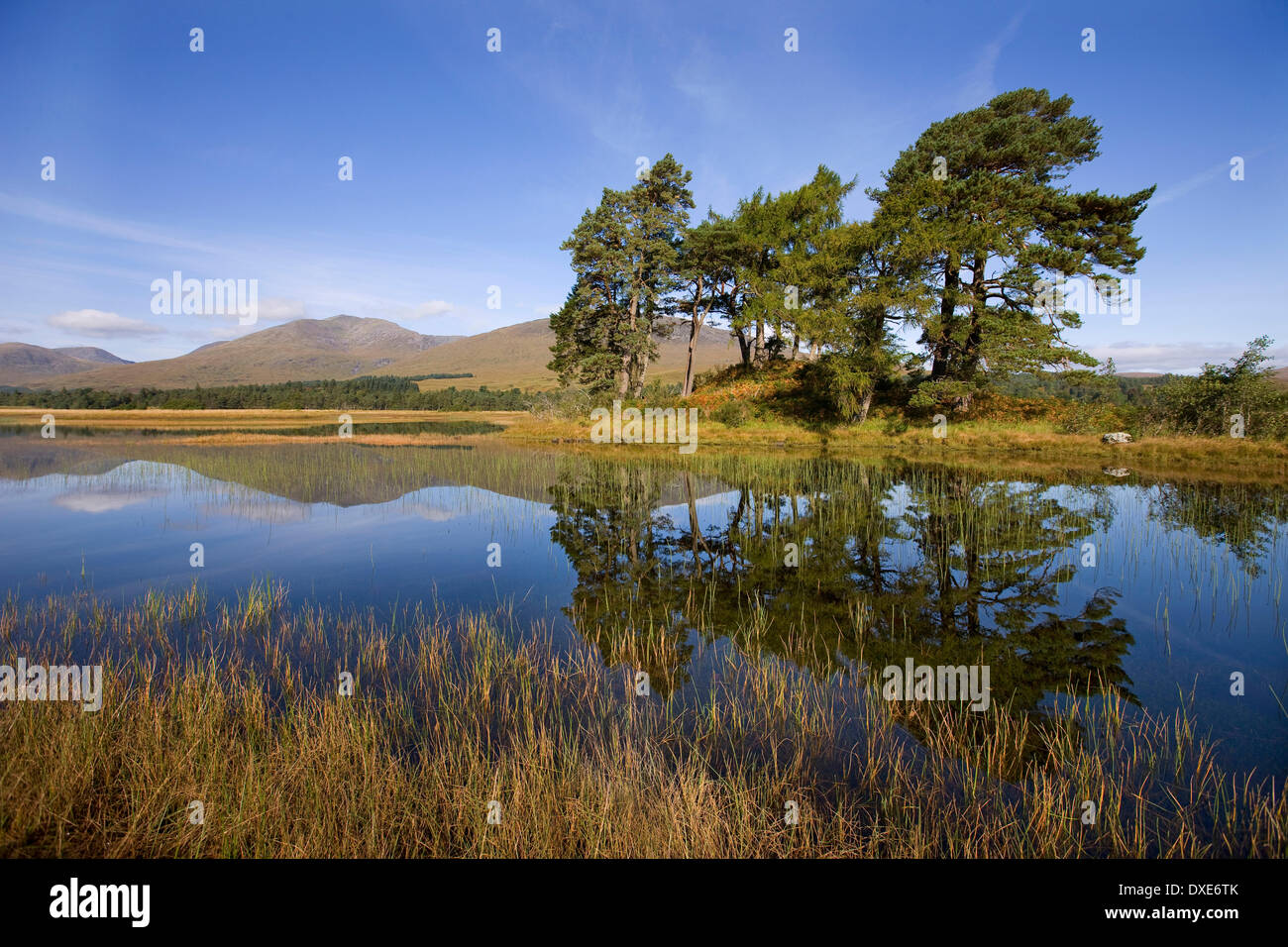 The black mount hi-res stock photography and images - Alamy