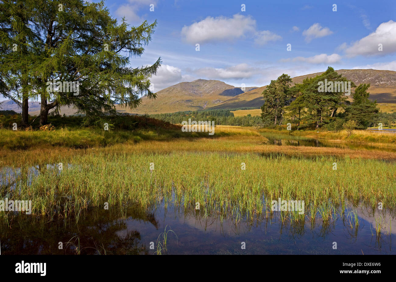 Tulla hi-res stock photography and images - Alamy