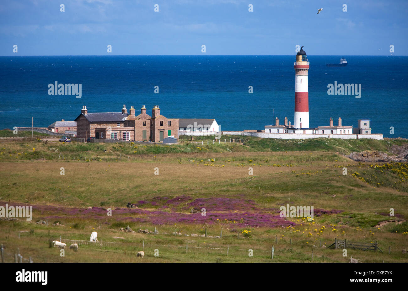 Peterhead hi-res stock photography and images - Alamy