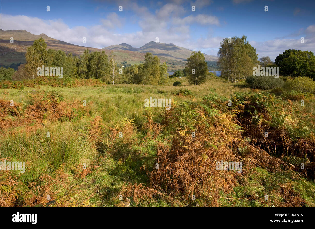 Loch tay and ben lawers hi-res stock photography and images - Alamy