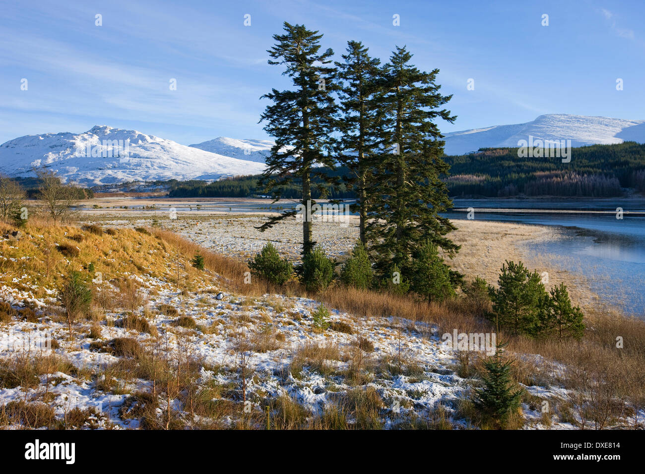 Loch Moy High Resolution Stock Photography and Images - Alamy