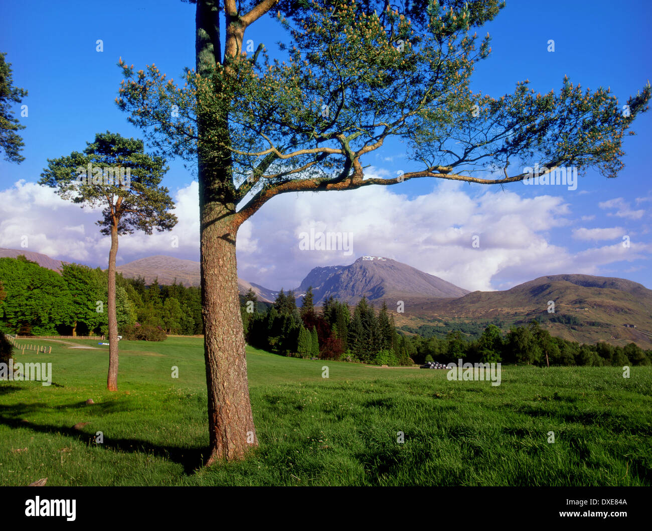 Spring view of Ben Nevis as seen from Inverlochy, Lochaber, Scottish ...