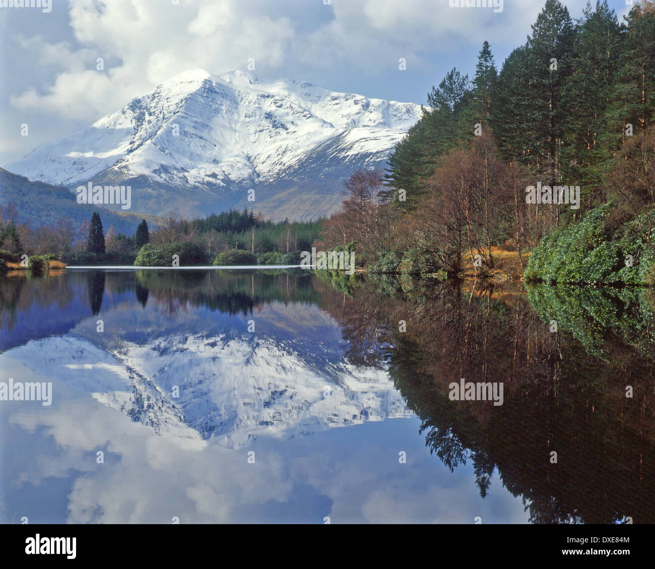 Ben Vair from the Lochan Trail forest walk, Glencoe. West Highlands ...