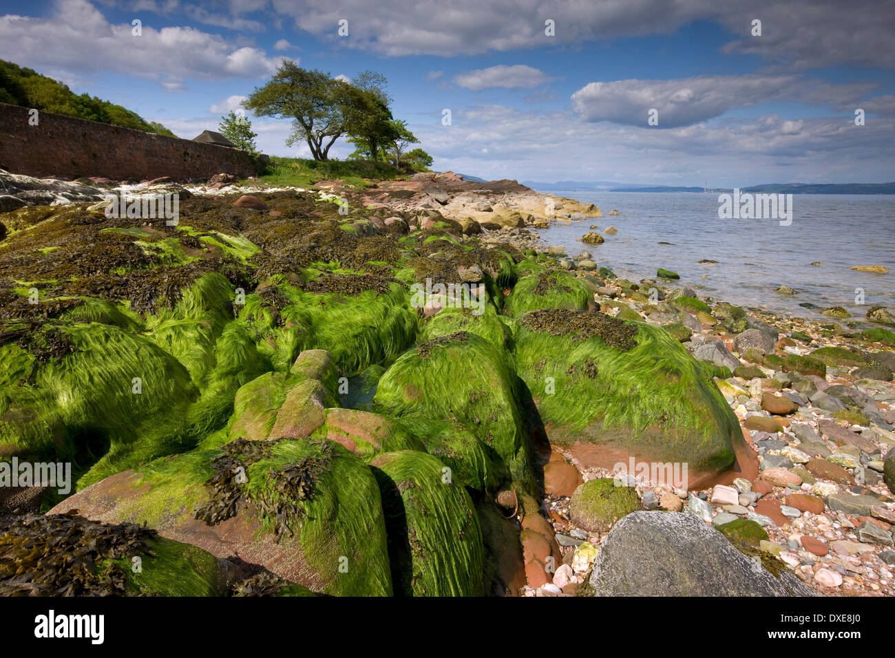 beach scene from Kerrycroy, Isle of Bute, Argyll Stock Photo - Alamy