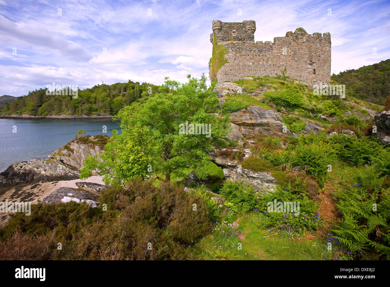 Castle Tioram, Loch Moidart Stock Photo - Alamy