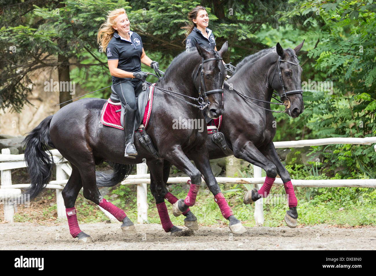 Two horse riders hi-res stock photography and images - Alamy