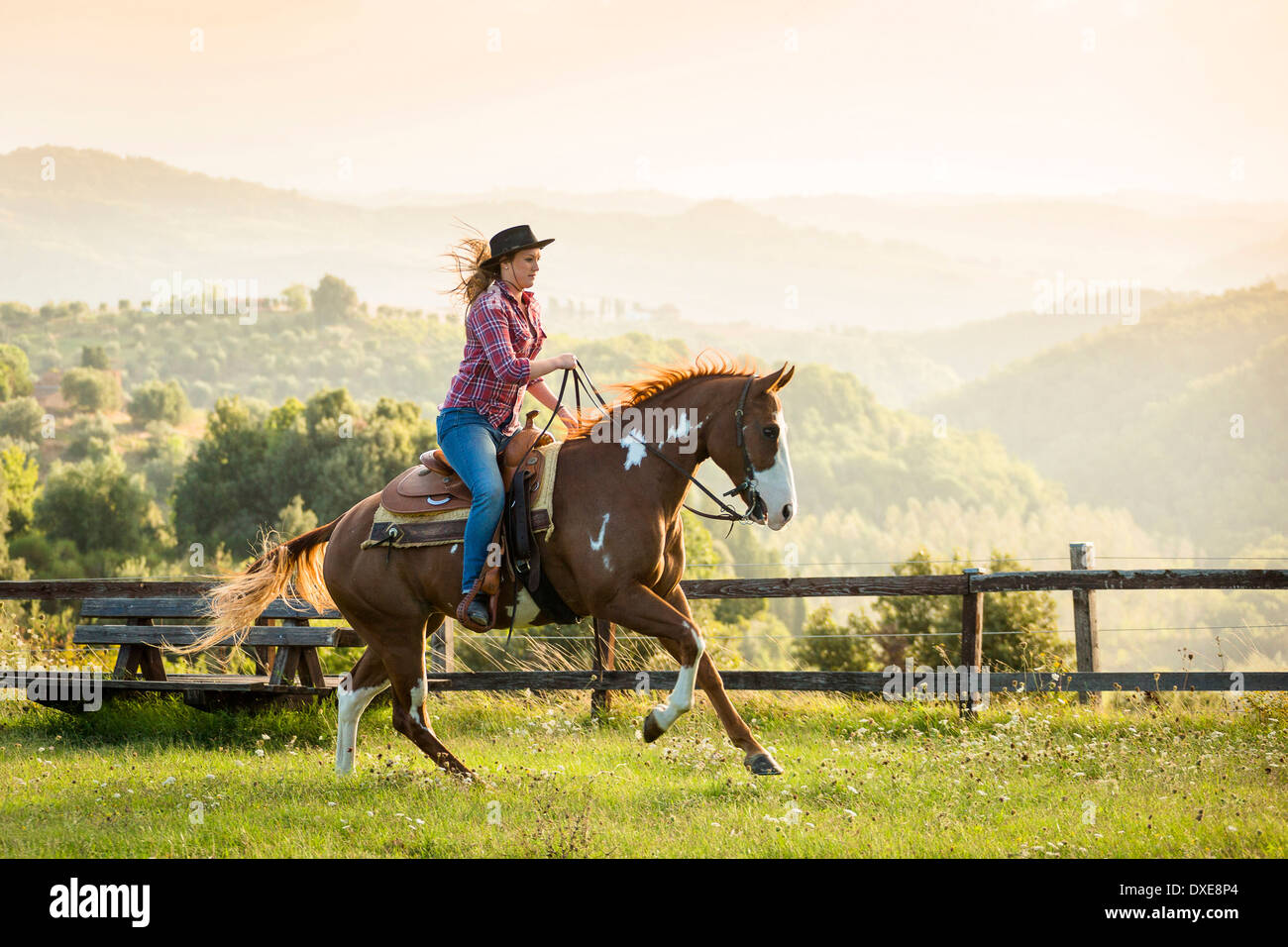 Riding on american paint horse hi-res stock photography and images - Alamy